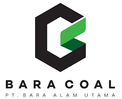 Diki Hidayatullah | Junior Full-Stack Developer